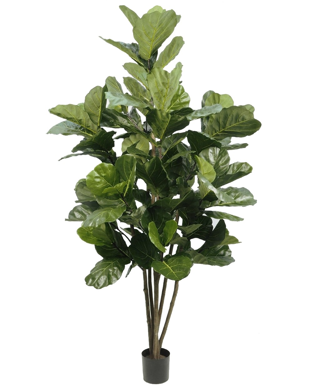85 Foot Multi Trunk Fiddle Leaf Fig Treepot Mediterranean Olive And Fig Artificial Trees